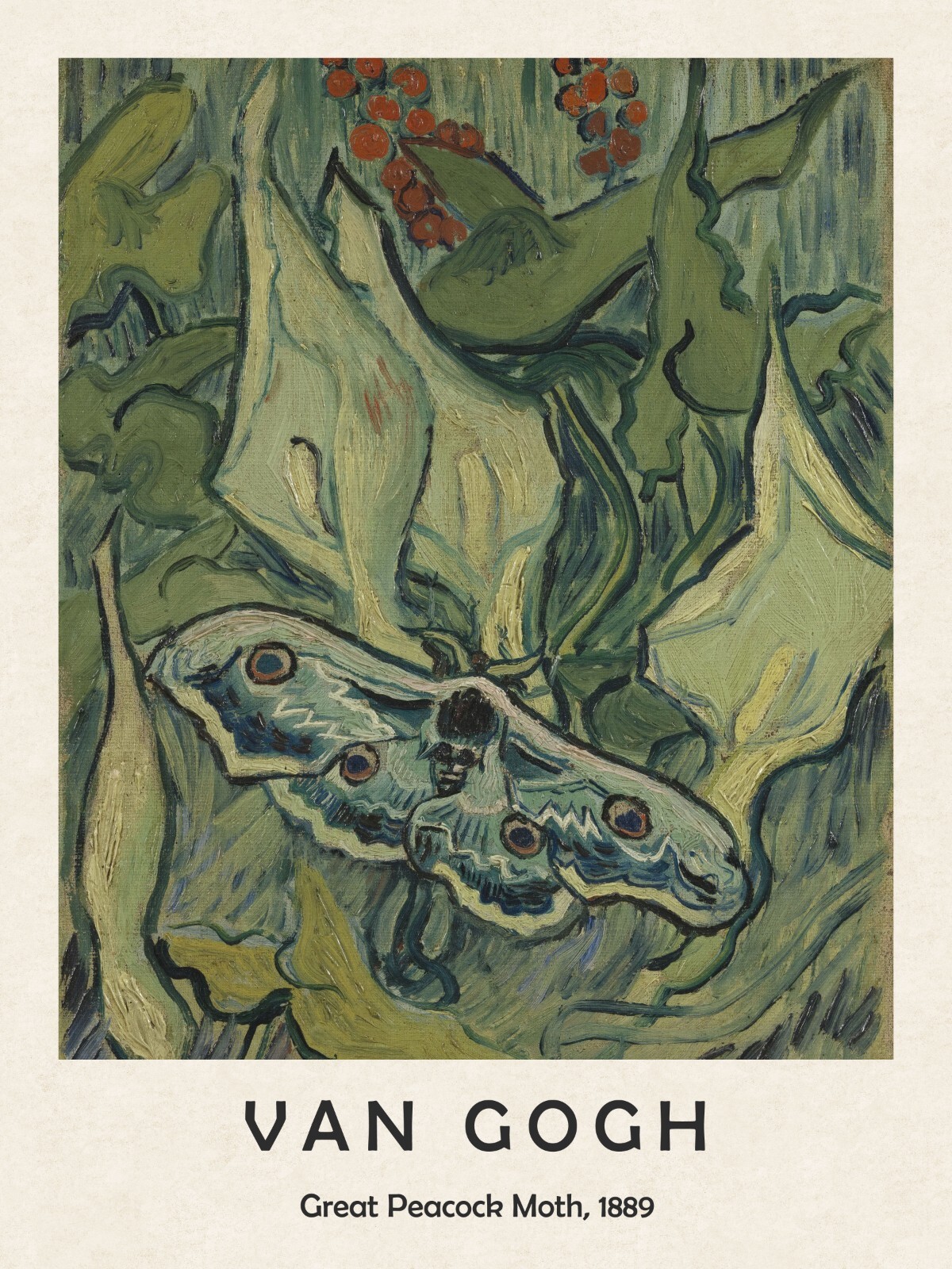 Vincent Van Gogh unframed Art Print Great Peacock Moth, 1889 | eBay