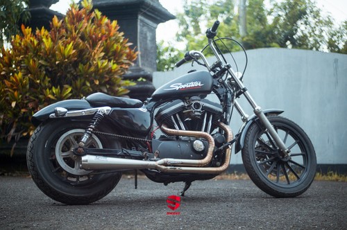 1999-2020 Harley-Davidson Sportster 1200 883 Exhaust pipes System 2-1 ...