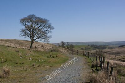 Photo 6x4 A tree on the Witton Weavers Way Cadshaw The stile gives ...