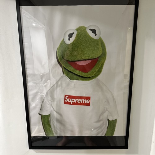 Orginal Supreme x Kermit The Frog Street AD poster NYC (February, 2008 ...