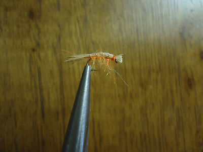 Scuds size 14 Orange, Pink, Olive, and Grey | eBay