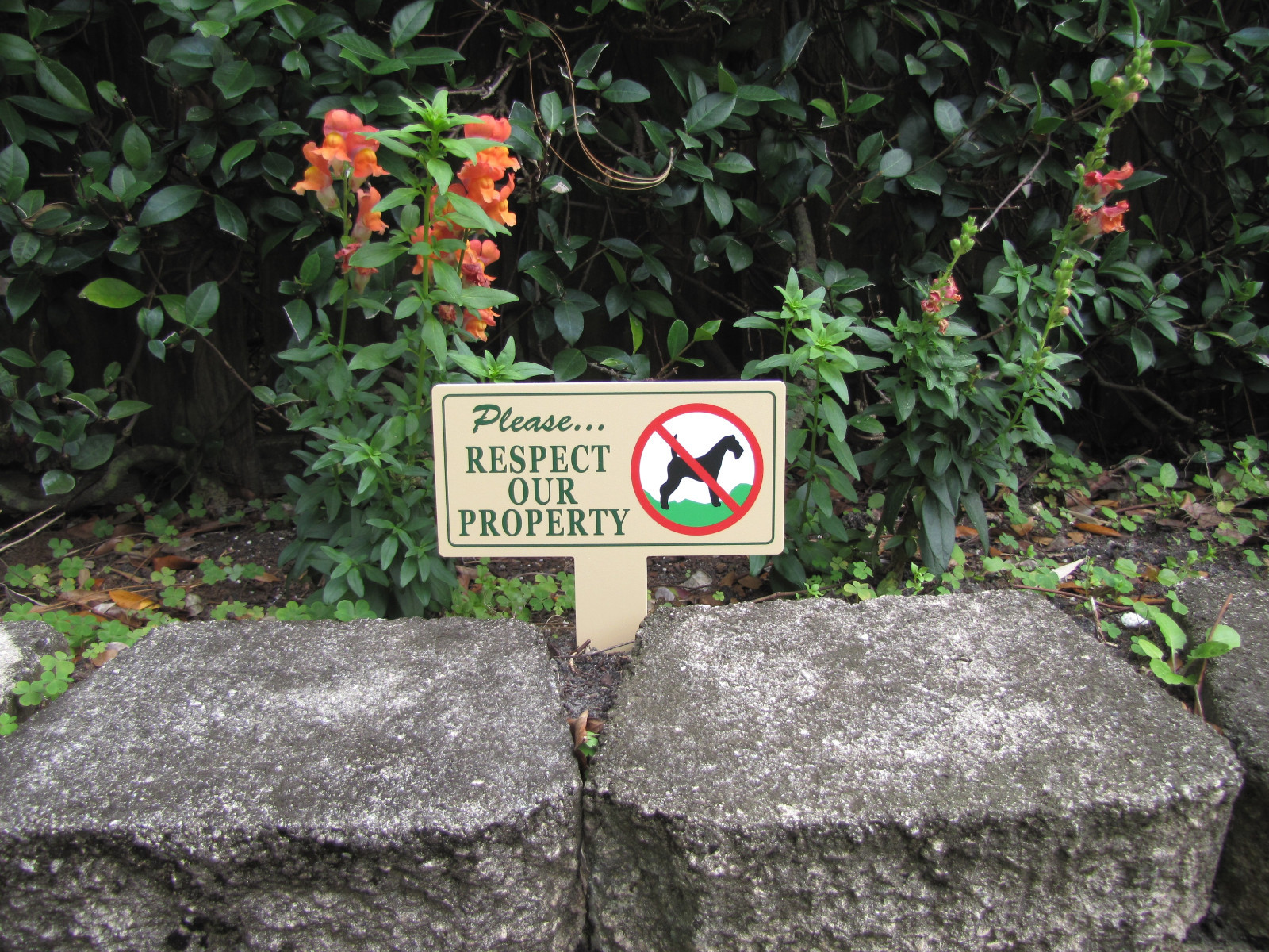 2 Respect Dog Signs | No Dog Poop Stake | No Poop No Pee Sign | Dog Pee ...