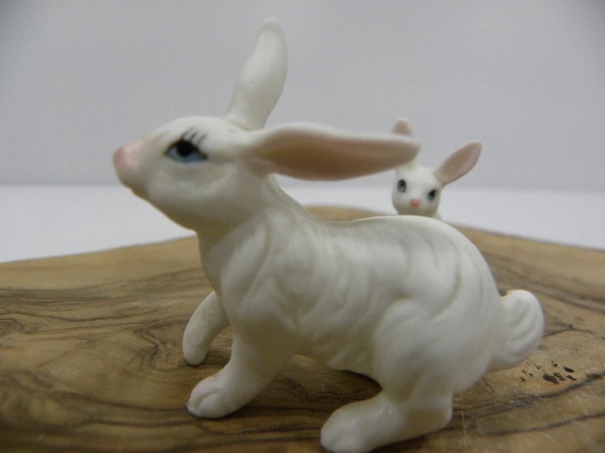 White Bunny Blue Eyes