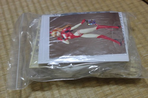 Resin Cast Kit Figure Nerv Moonlighter Soryu Asuka Langley Race Queen ...