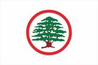 Lebanon Party Flag Amal Future Movement Kataeb Union Communist | eBay