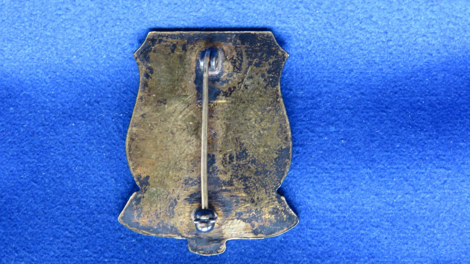 ORIGINAL STERLING 372ND INF (COLORED) DI-DUI-PIN-PB-NHM | eBay