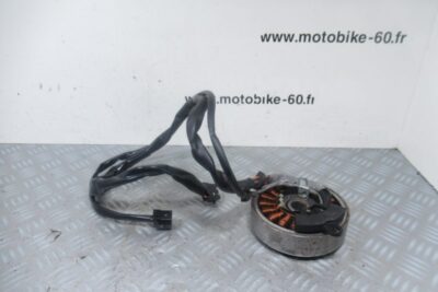 Rotor Stator Honda PCX 125 4t Ph2 | eBay