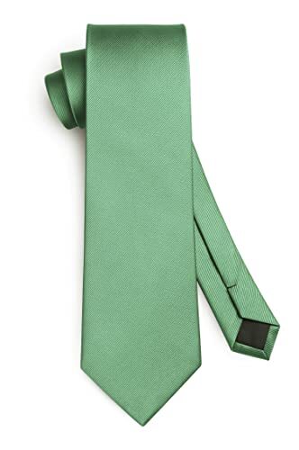 Mens Ties Solid Color Ties for Men Formal Necktie with B-green Sage ...