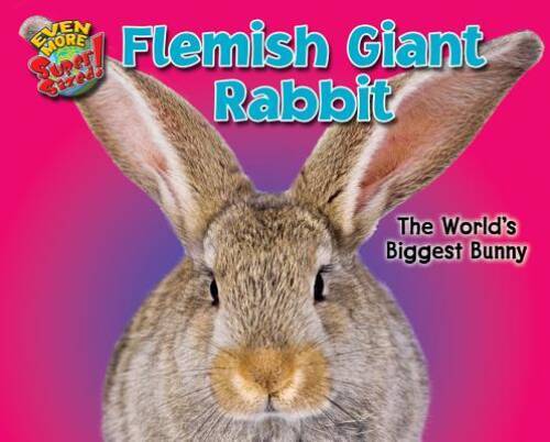 Flemish Giant Rabbit: The Worlds Biggest Bunny (Even More Supersized ...