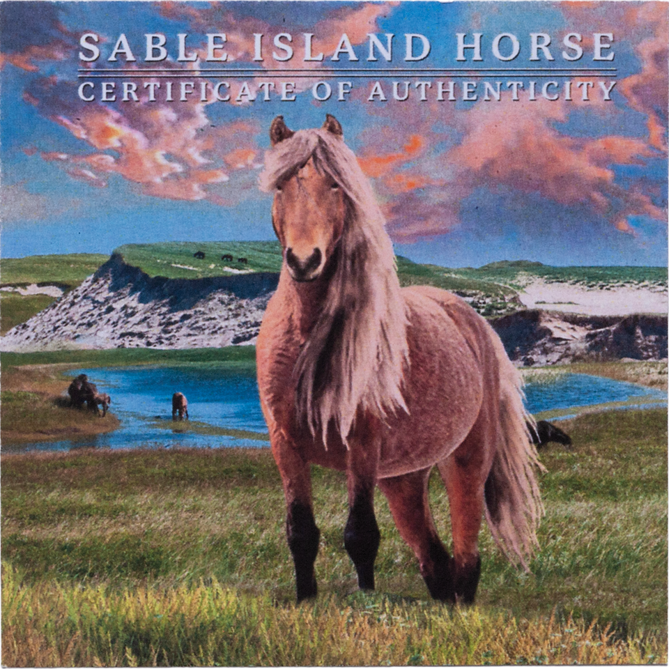 2023 Sable Island Horse Copper Dollar | eBay