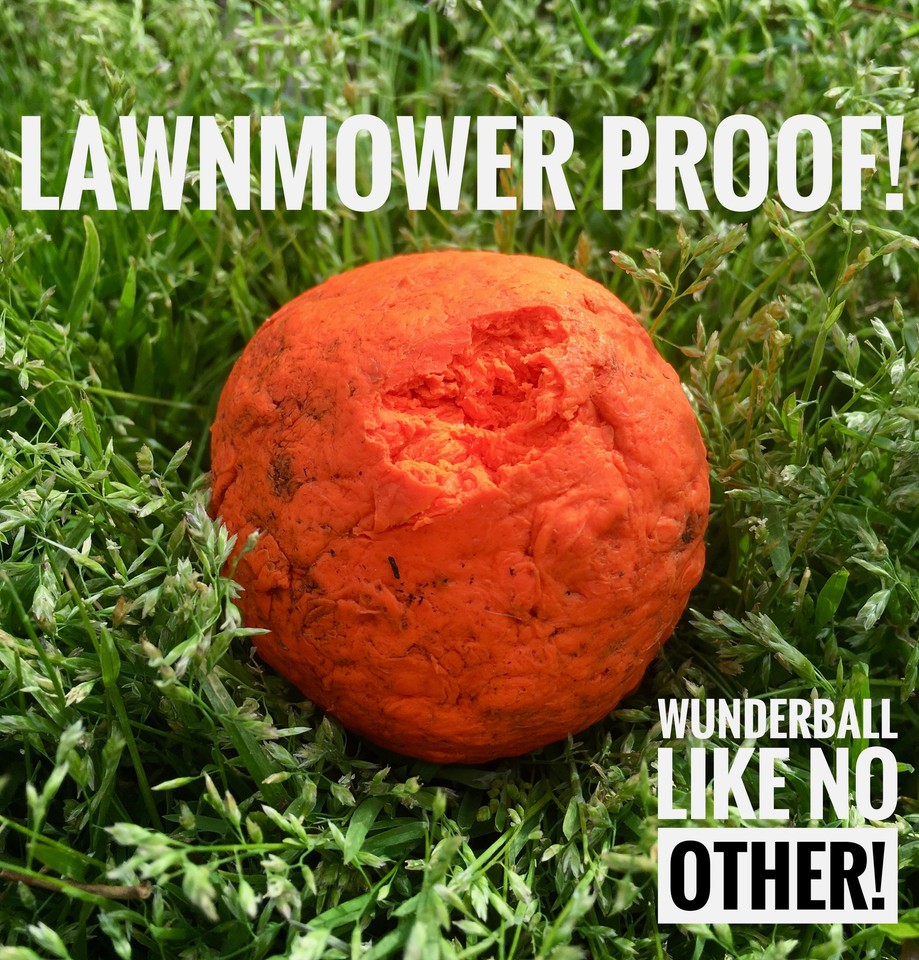 WUNDERBALL Best Dog Ball Fetch Toy Cleans Teeth Floats Indestructible ...