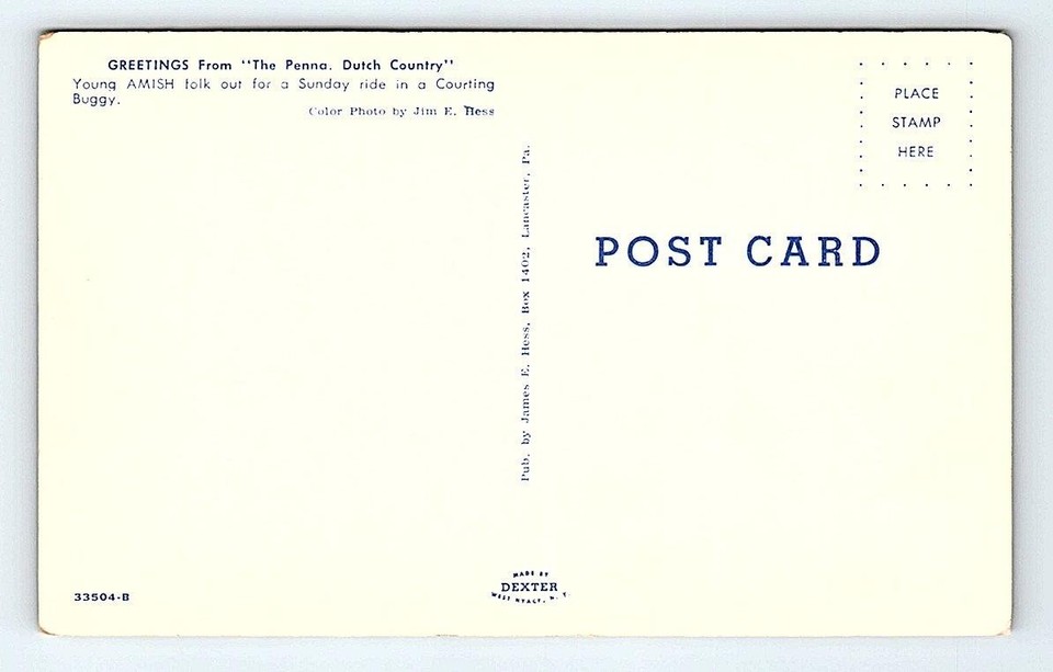 Pennsylvania Dutch Country Amish Courting Buggy Postcard | eBay