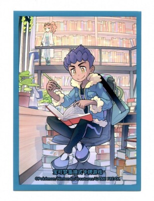 Hop Trainer Collection Gift Box Individual Card Sleeve Pokemon China ...