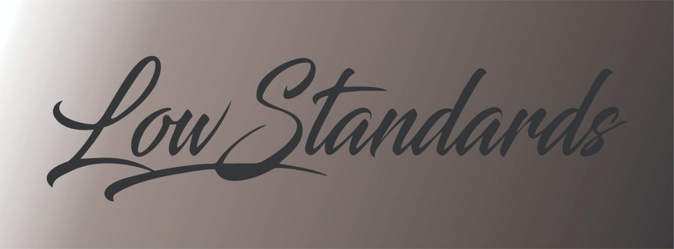 Low Standards Decal Sticker - JDM Stance Low Drift Slammed | eBay