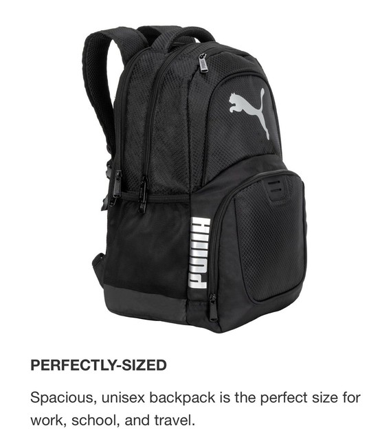 PUMA Challenger Backpack Padded 15” Laptop Pocket Bag Gray for sale ...