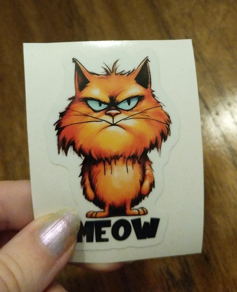 3" Meow Decal Vinyl Sticker Cat Kitty Grumpy Mood Orange Pet Funny ...