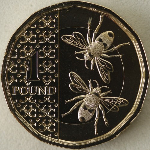 2025 £1 One Pound Coin Bees Brilliant Uncirculated BU | eBay UK