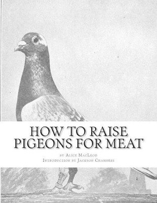 Alice MacLeod How To Raise Pigeons For Meat (Poche) Raising Pigeons for ...