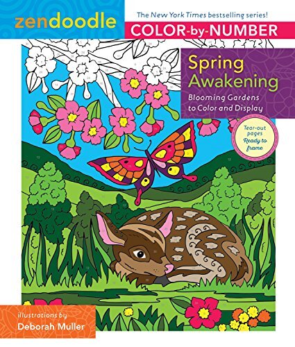 ZENDOODLE COLOR-BY-NUMBER: SPRING AWAKENING: BLOOMING By Deborah Muller ...