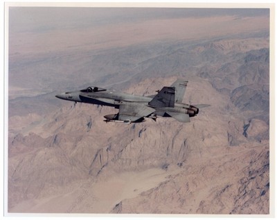 1991 Navy McDonnell Douglas F/A-18 of VFA-81 Sunliners 8x10 Original ...