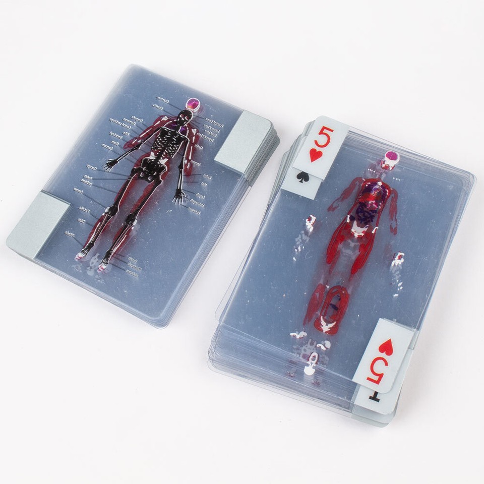 The Body-Deck,Unique Transparent 3D Image of The Human Anatomy Playing ...