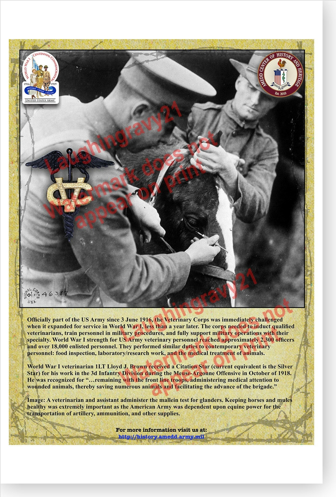 US Army Veterinary Corps AMEDD WWI Centennial Commemoration Poster | eBay