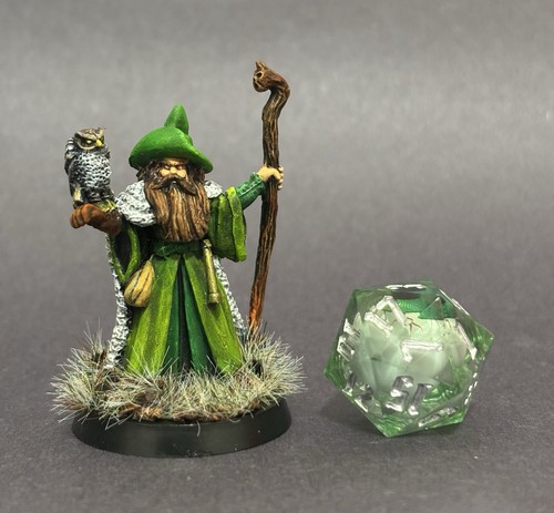 Dungeons and Dragons Miniature - Green Wizard - Hand Painted | eBay