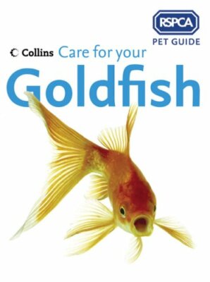RSPCA Pet Guide – Care for your Goldfish by RSPCA Paperback Book The ...