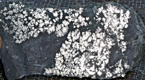 171g NATIVE SILVER SAFFLORITE IN DIABASE SLAB. 12X6 CM COBALT, ONTARIO ...