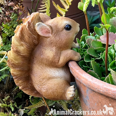 SQUIRREL Pot Pal POT HANGER novelty garden ornament decoration garden ...