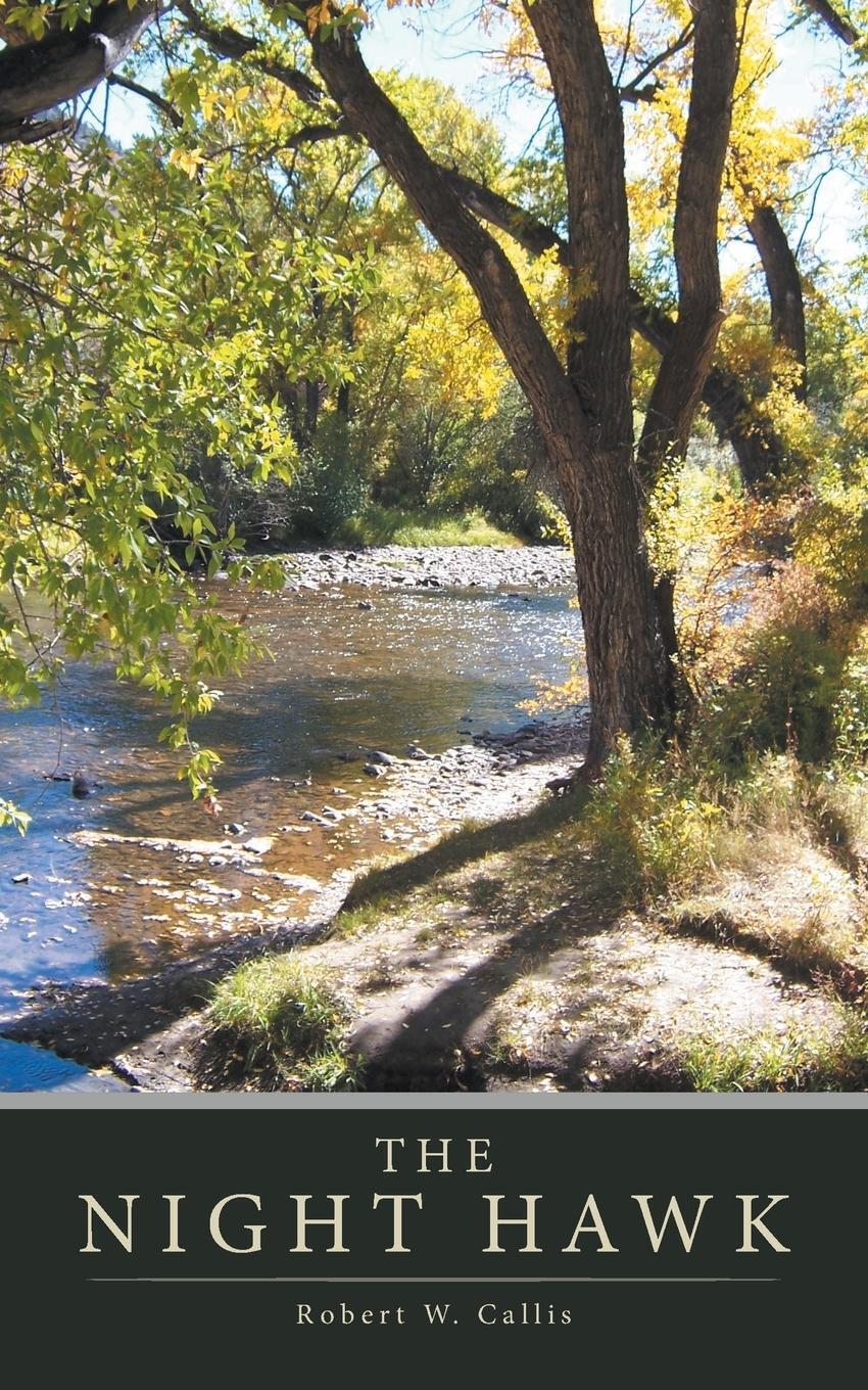 The Night Hawk Robert W. Callis Taschenbuch Paperback Englisch 2017 ...