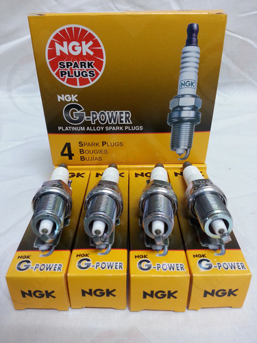 NGK JAPAN TR5GP SPARK PLUG PLATINUM POWER 4-PIECES (3186) | eBay