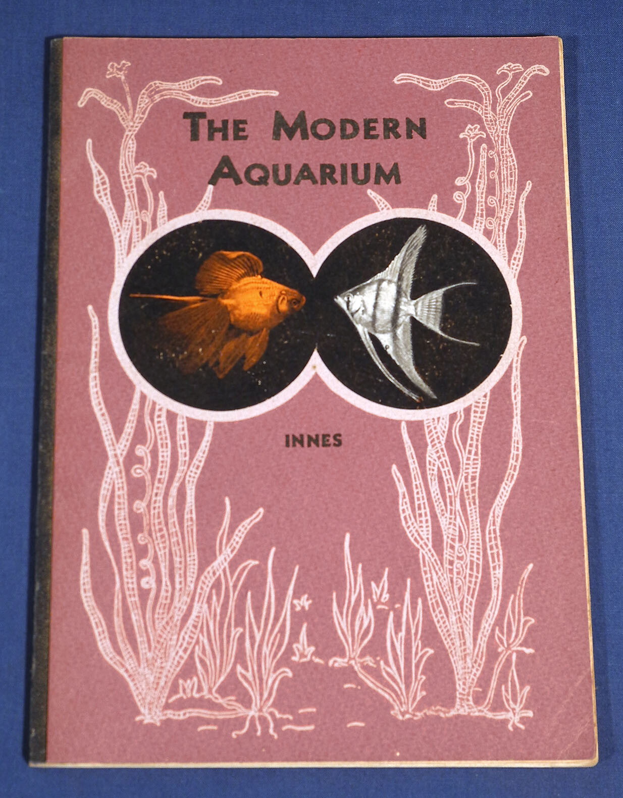 The Modern Aquarium by William T. Innes Vintage 1952 SC illustr. 24th ...