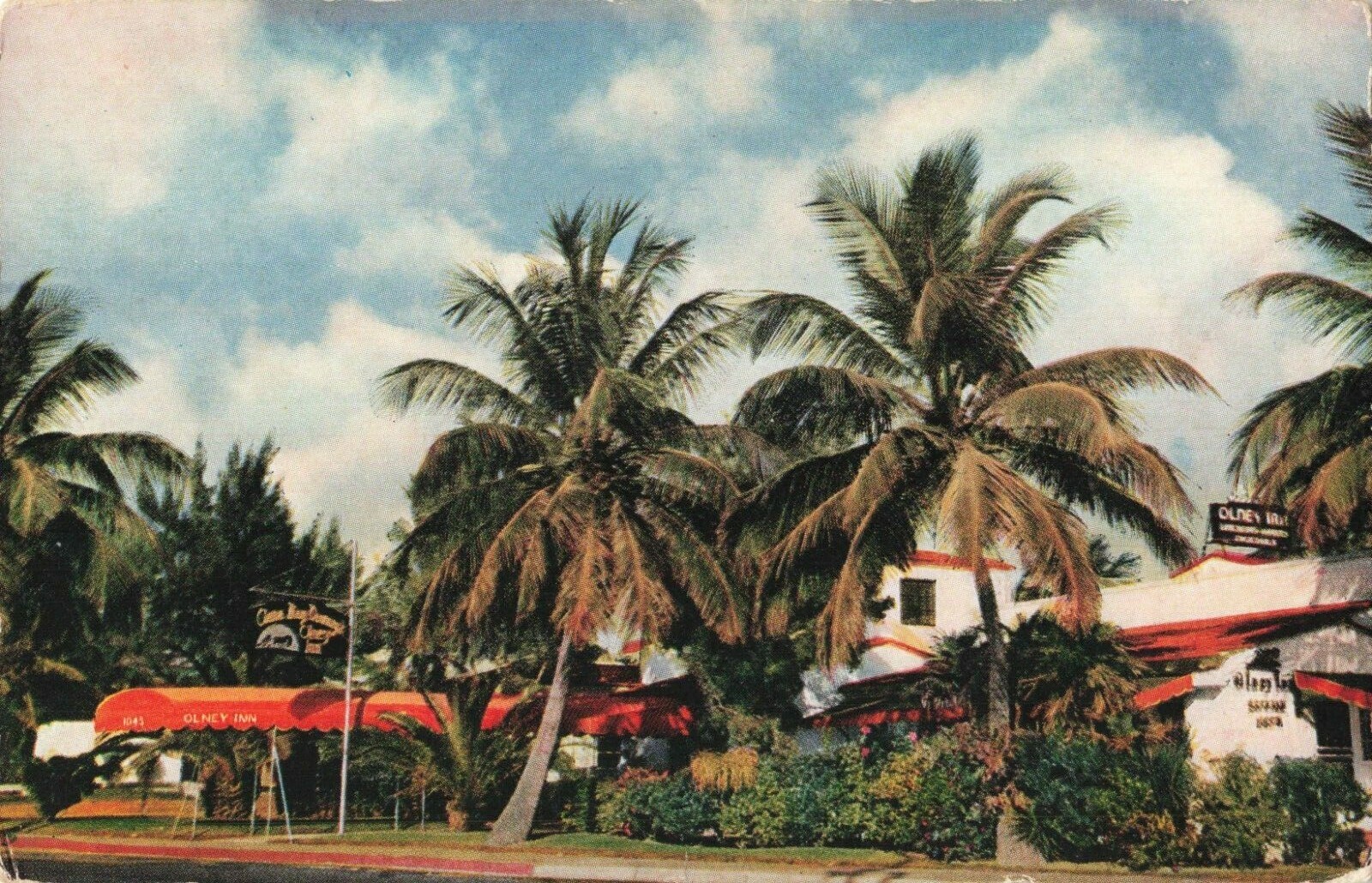 Postcard Olney Inn Miami Beach Florida | eBay