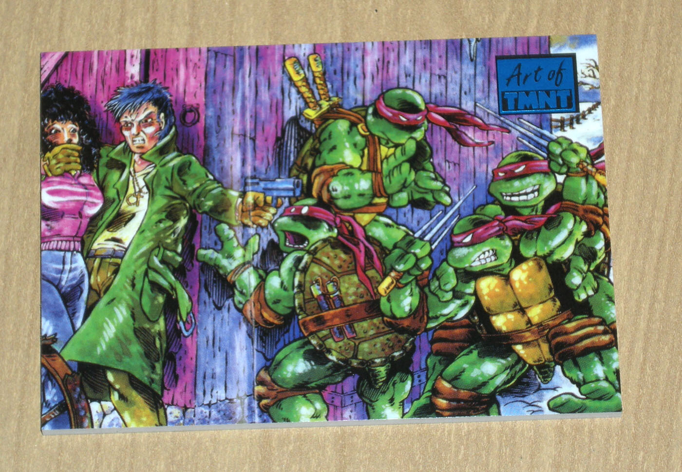 2019 Topps Art of Teenage Mutant Ninja Turtles TMNT BLUE autograph Ryan ...