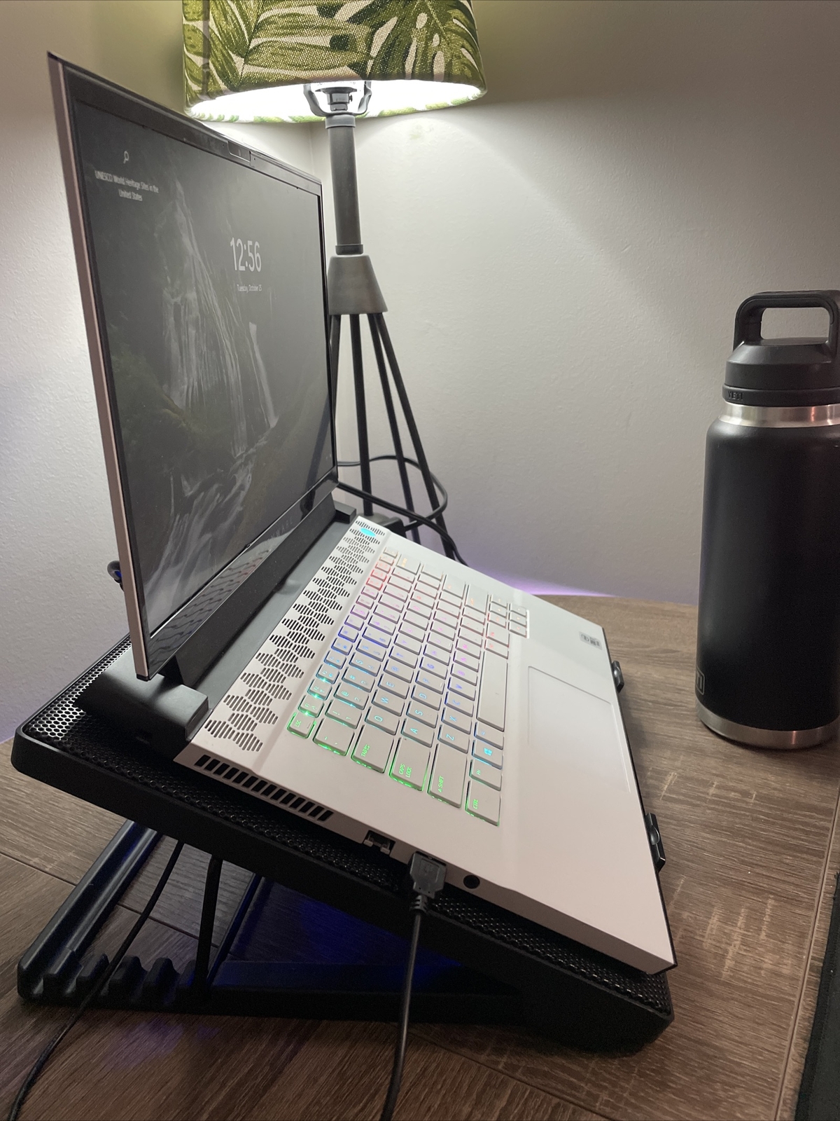 Alienware M15 R3 15.6 inch (512GB, Intel Core i7 10th Gen, 5.10GHz ...