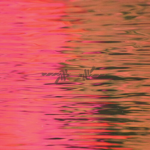 Silverstein Dead Reflection (Vinyl) 12" Album (US IMPORT) | eBay