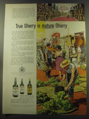 1960 Harvey's Sherry Ad - True Sherry is mature Sherry | eBay