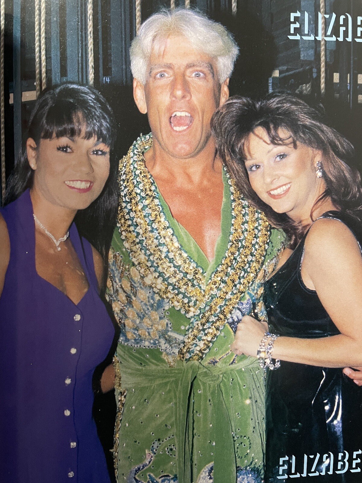 Weekly Gong American Sexy Manager Sunny Elizabeth Francine WWE WWF WCW ...