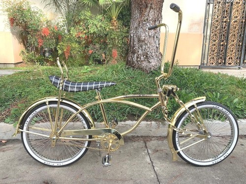 GOLD 20" Cruiser Lowrider Bike 72 Spokes Coaster Brake Twisted Fork New ...