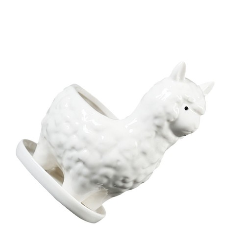 Cartoon Flower Pot Succulent Ceramic Flowerpot Pots Indoor for House ...