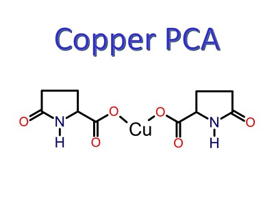 Copper PCA, CAS 15454-74-7 | eBay