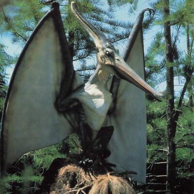 Postcard Dinosaurs Pteranodon Dinamation Robotics Effects Company ...