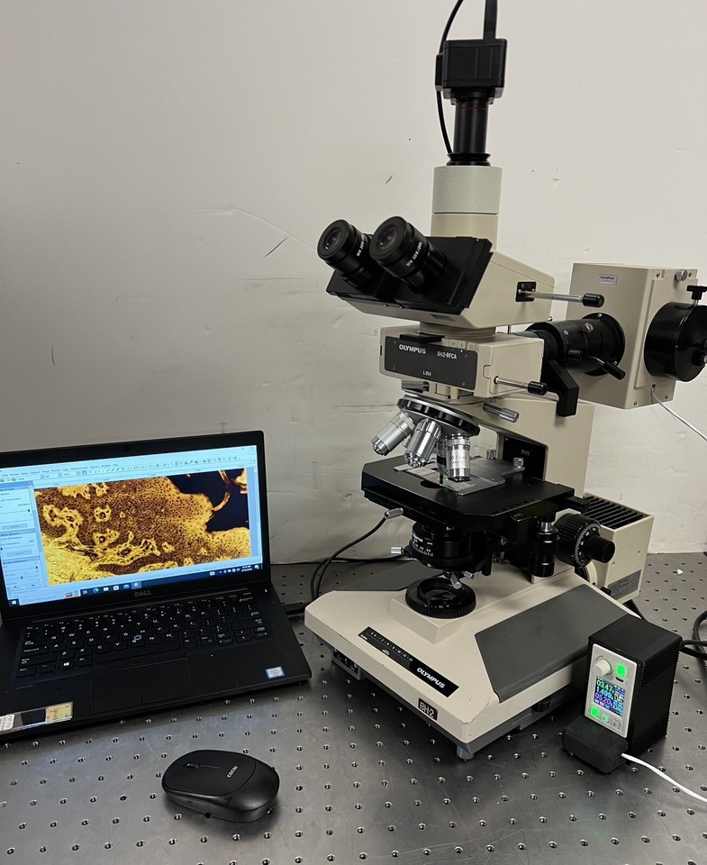 Olympus BH2 BHS Microscope Broadband LED Fluorescence | eBay