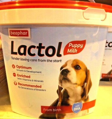 BEAPHAR LACTOL PUPPY MILK POWDER : 250g 500g 1kg 2kg Junior Dog Care bp ...