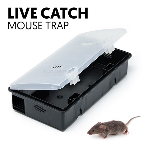 Mastertrap Advanced Self Setting Multi-Catch Humane Live Catch Mouse Trap Box | eBay UK