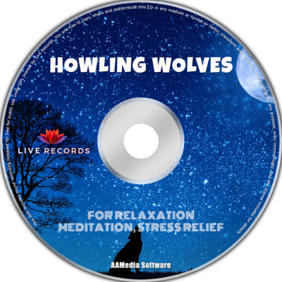 Wolf Sounds - HOWLING WOLVES CD for Relaxation, Meditation, Stress ...
