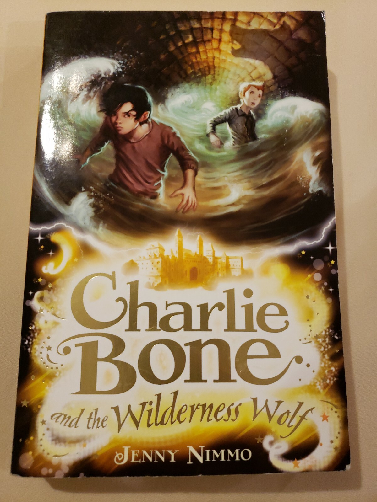 Charlie Bone and the Wilderness Wolf by Jenny Nimmo Paperback Book | eBay