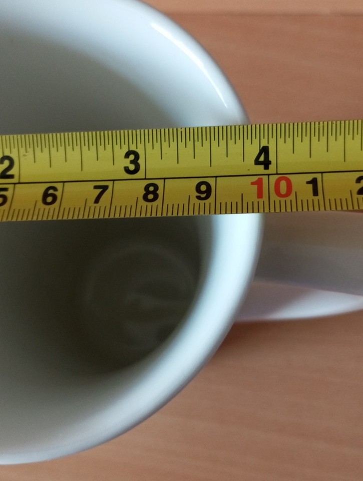 Portmeirion The Botanic Garden Narcissus Minimus Small Narcissus Latte ...