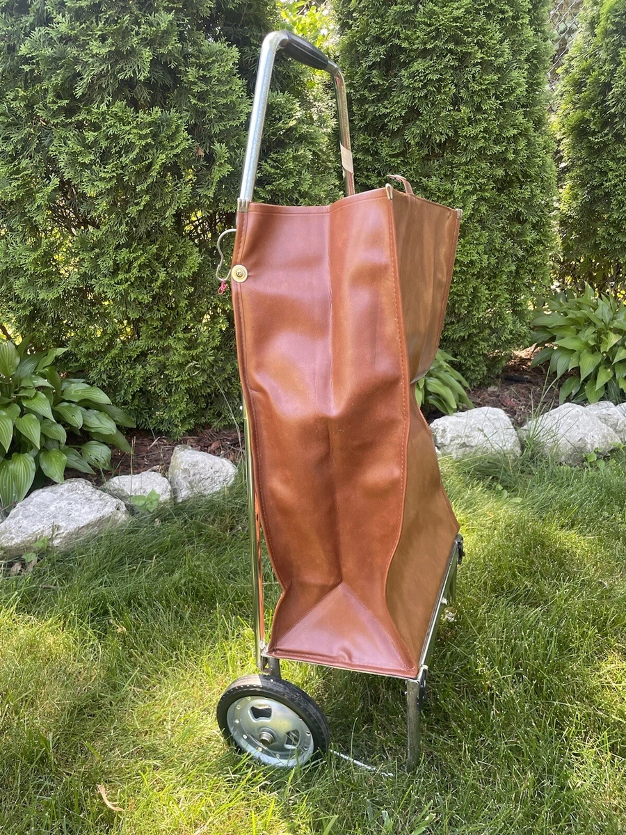 Pull Along Shopping Cart